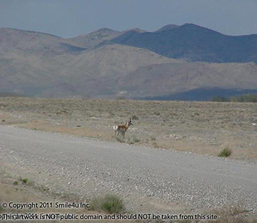 2 10 Acres Montello Nevada Elko