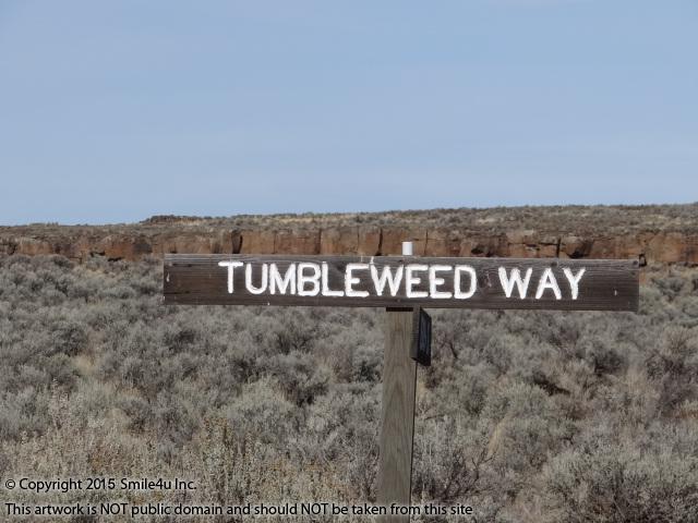 1.22 acres land in Rimrock Meadows WA