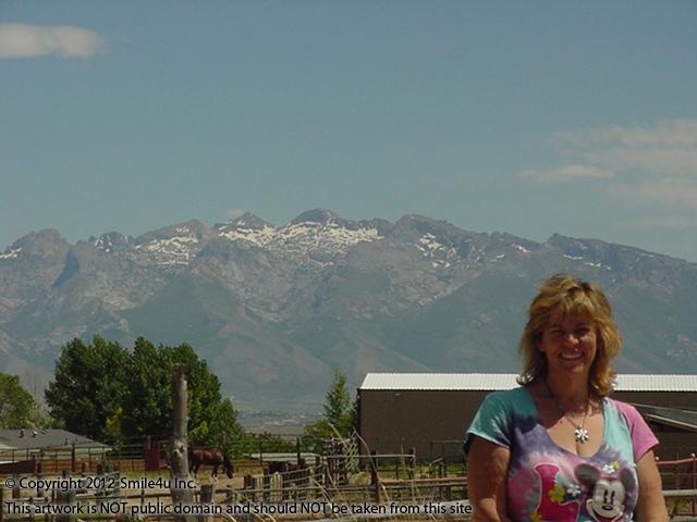 Ruby Mountain Views by Elko Nevada