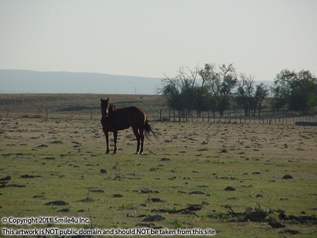 Building Lots New Mexico Cheap Acres | Smile4uinc.com