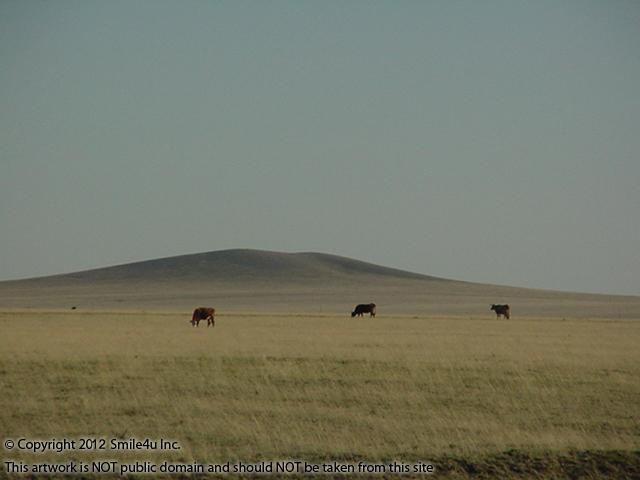 Vacant Land Estancia Ranchettes NM