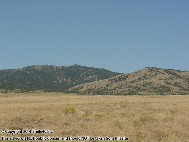 10 Acre Land by Charlie Canyon Nevada