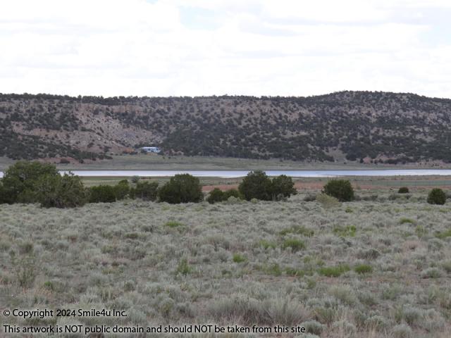 New Mexico Land for Sale